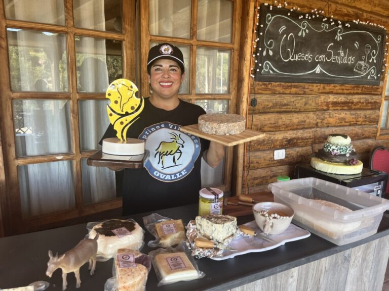 Yasna Molina exhibe en su predio en Villaseca, en el municipio chileno ...