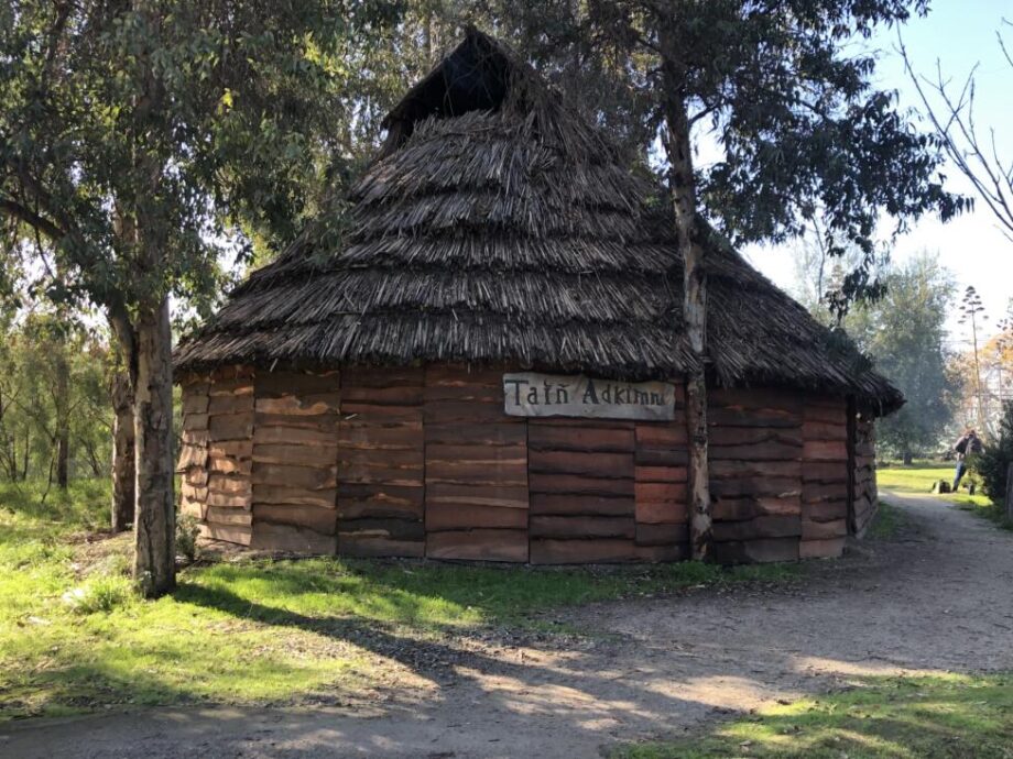 Tierras mapuches, clave del dialogo en la Araucanía chilena : IPS ...