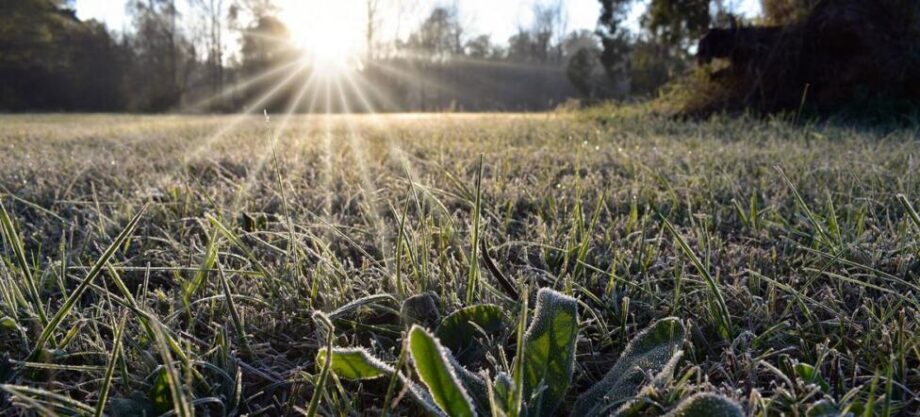 Helada a primera hora del día en un paraje de Argentina. Esa nación y ...