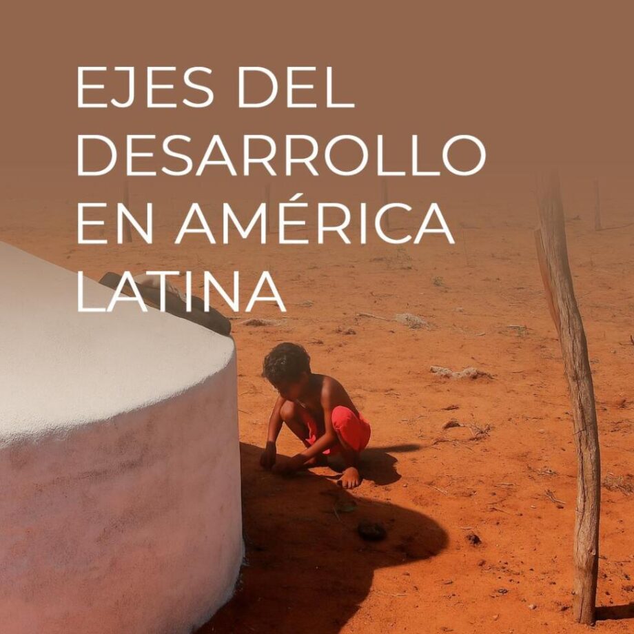 El insecto Triatoma infestans (conocido en América Latina con nombres ...